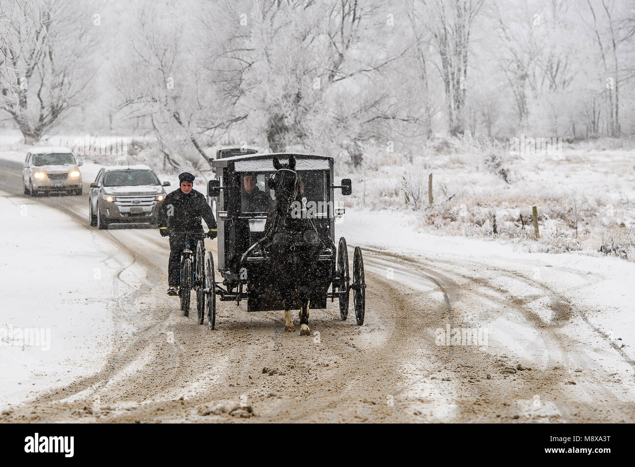 Amish in black and white hi-res stock photography and images - Alamy