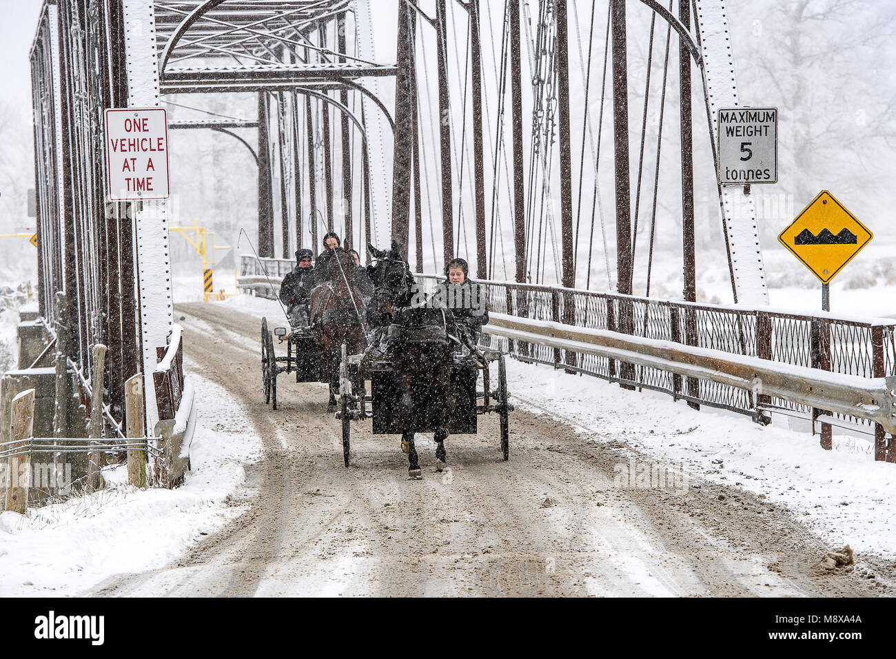 Amish on the snow covered road in Ontario Stock Photo - Alamy