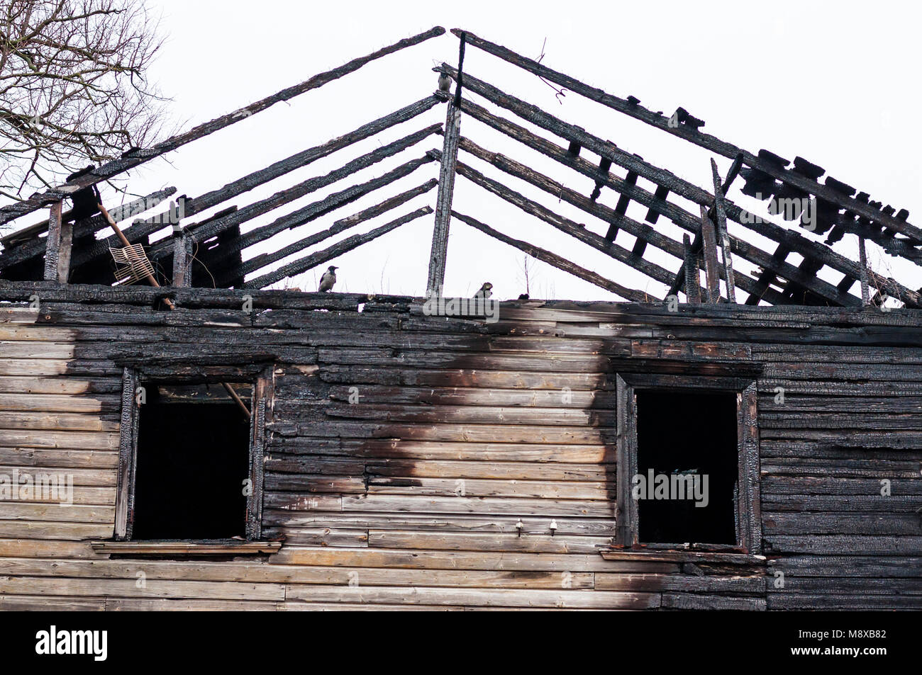 Remains of the burnt wooden house facade Stock Photo - Alamy