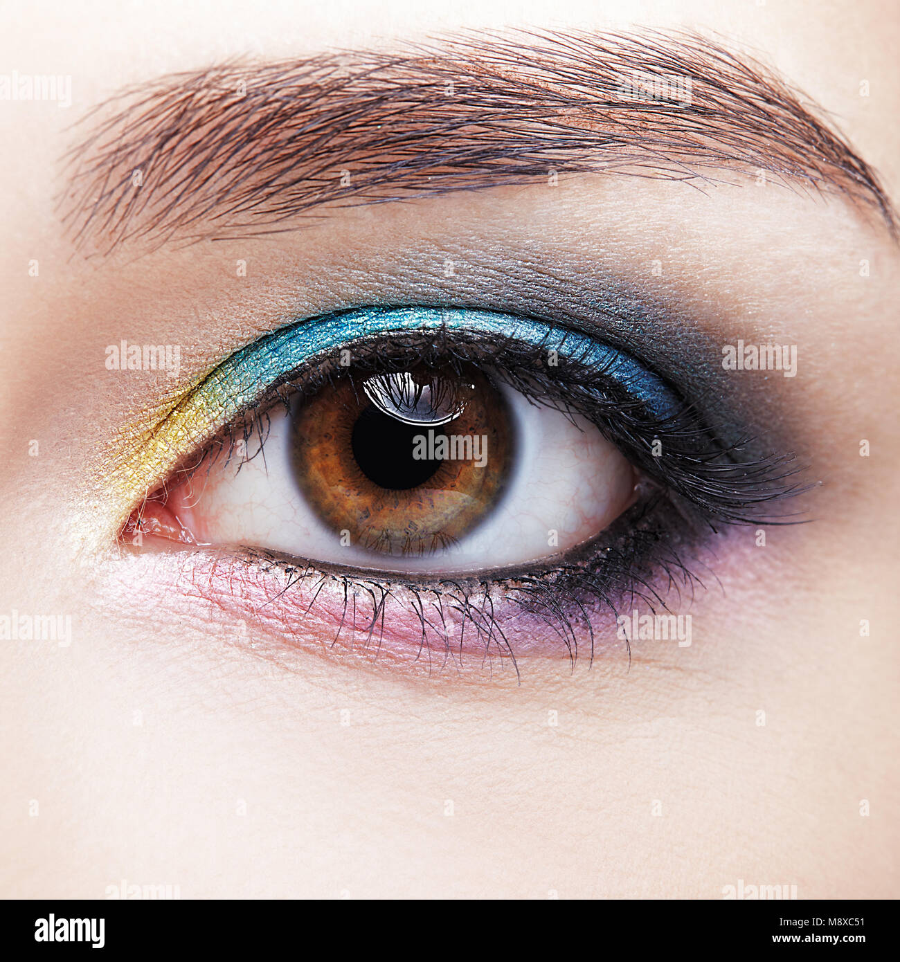 Closeup macro shot of human female eye. Woman with natural evening ...