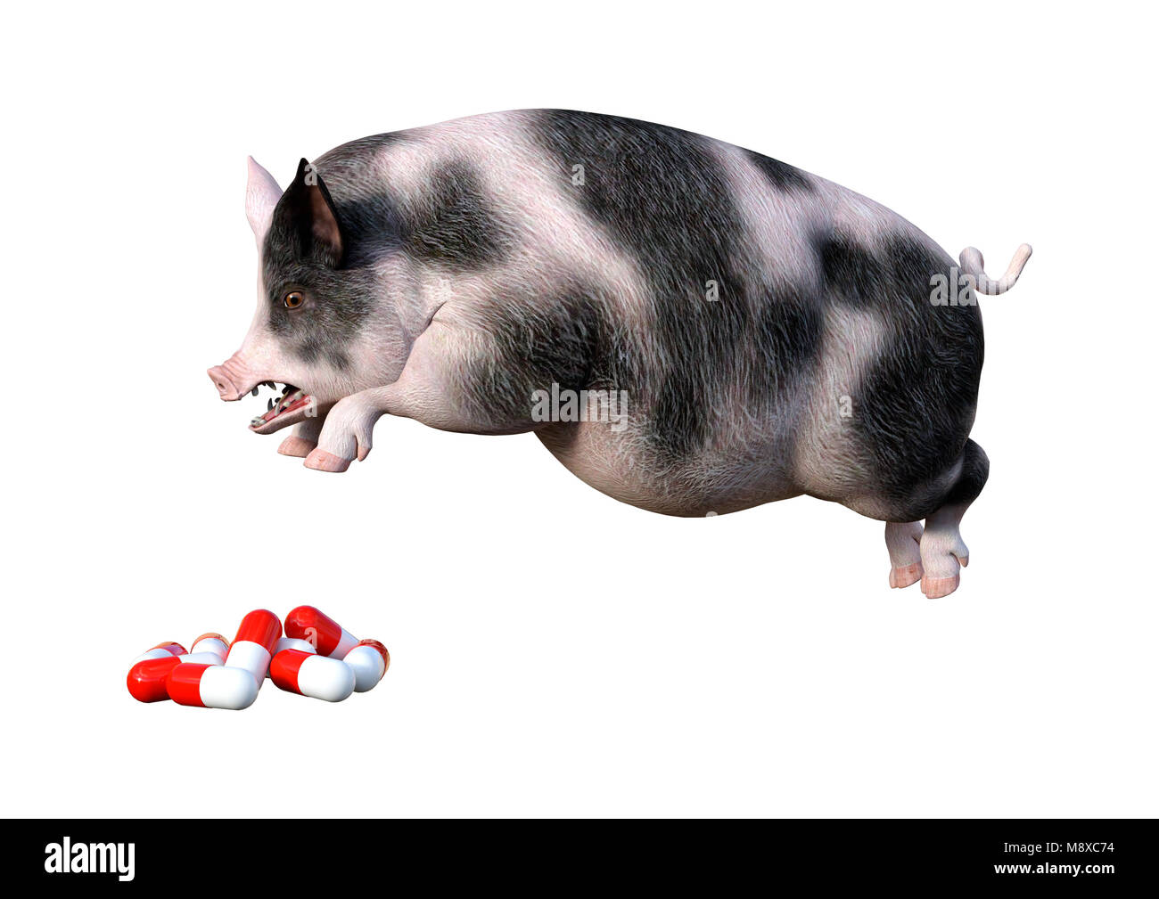 Pig Jumping High Resolution Stock Photography and Images - Alamy