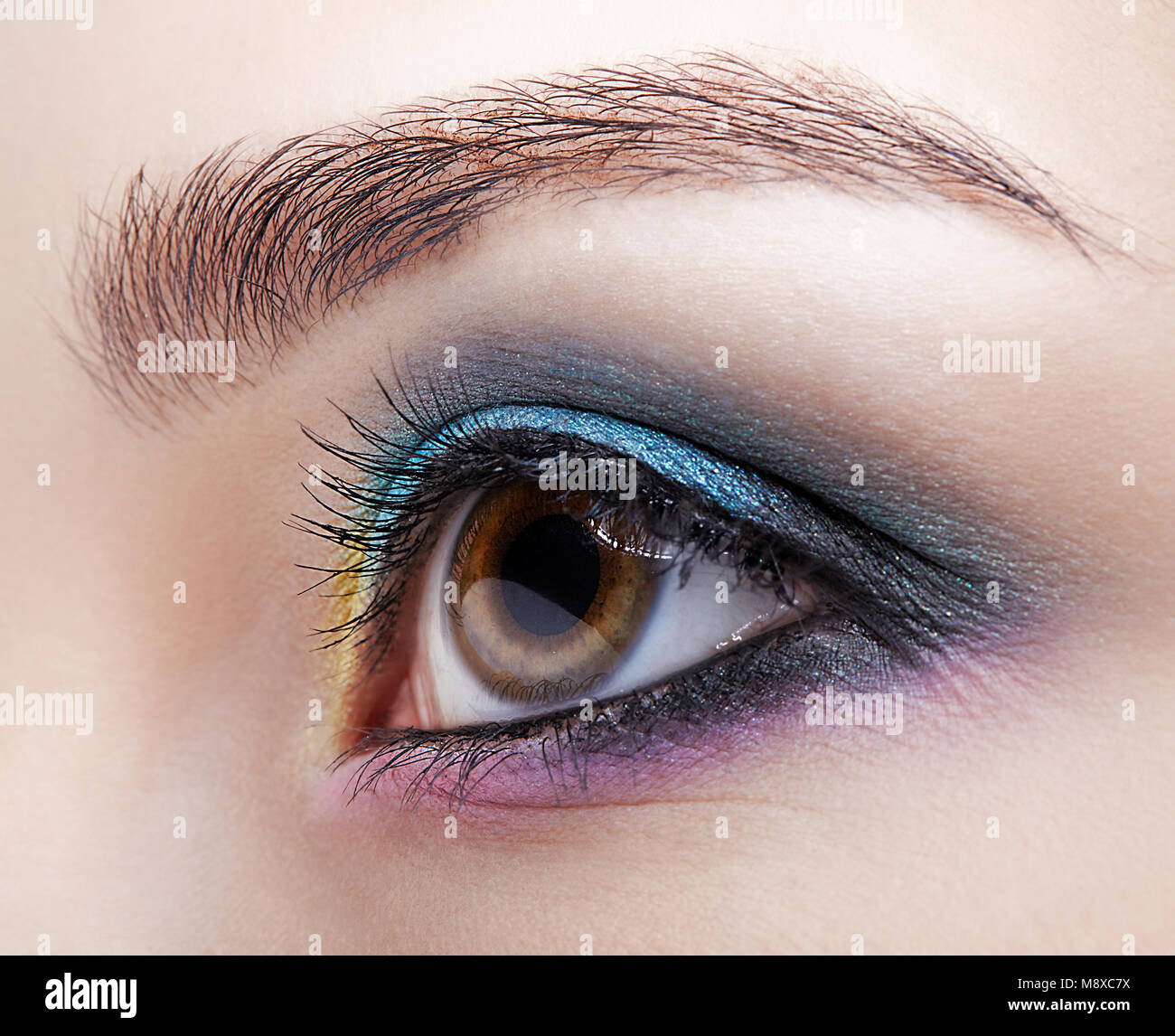 Closeup macro shot of human female eye. Woman with natural evening ...