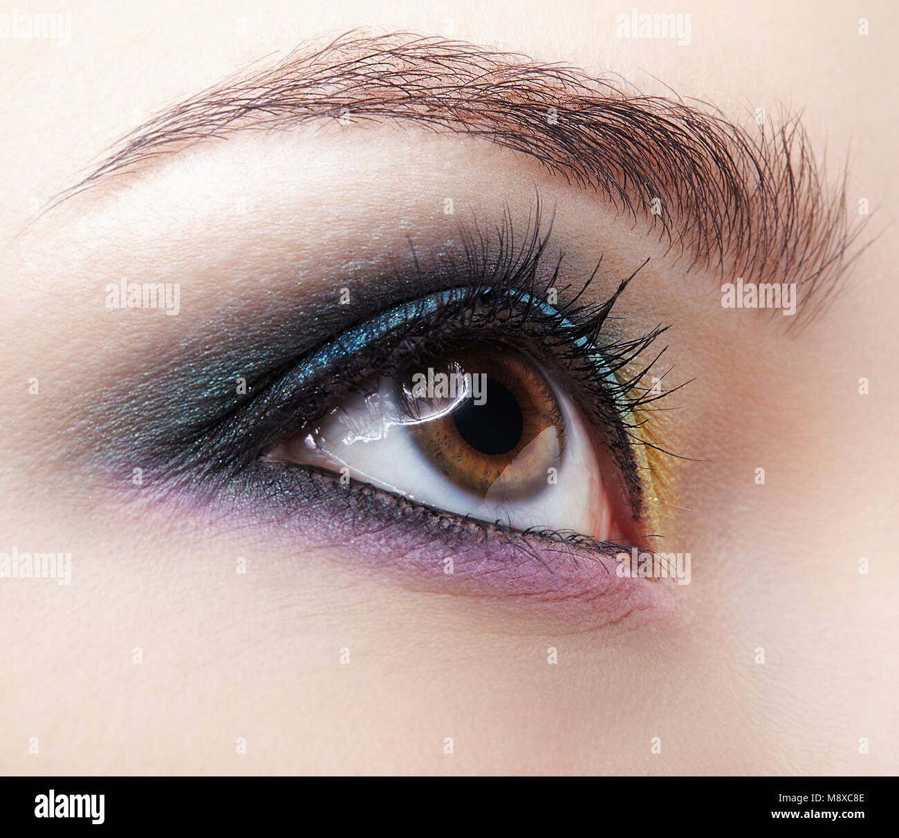 Closeup macro shot of human female eye. Woman with natural evening ...