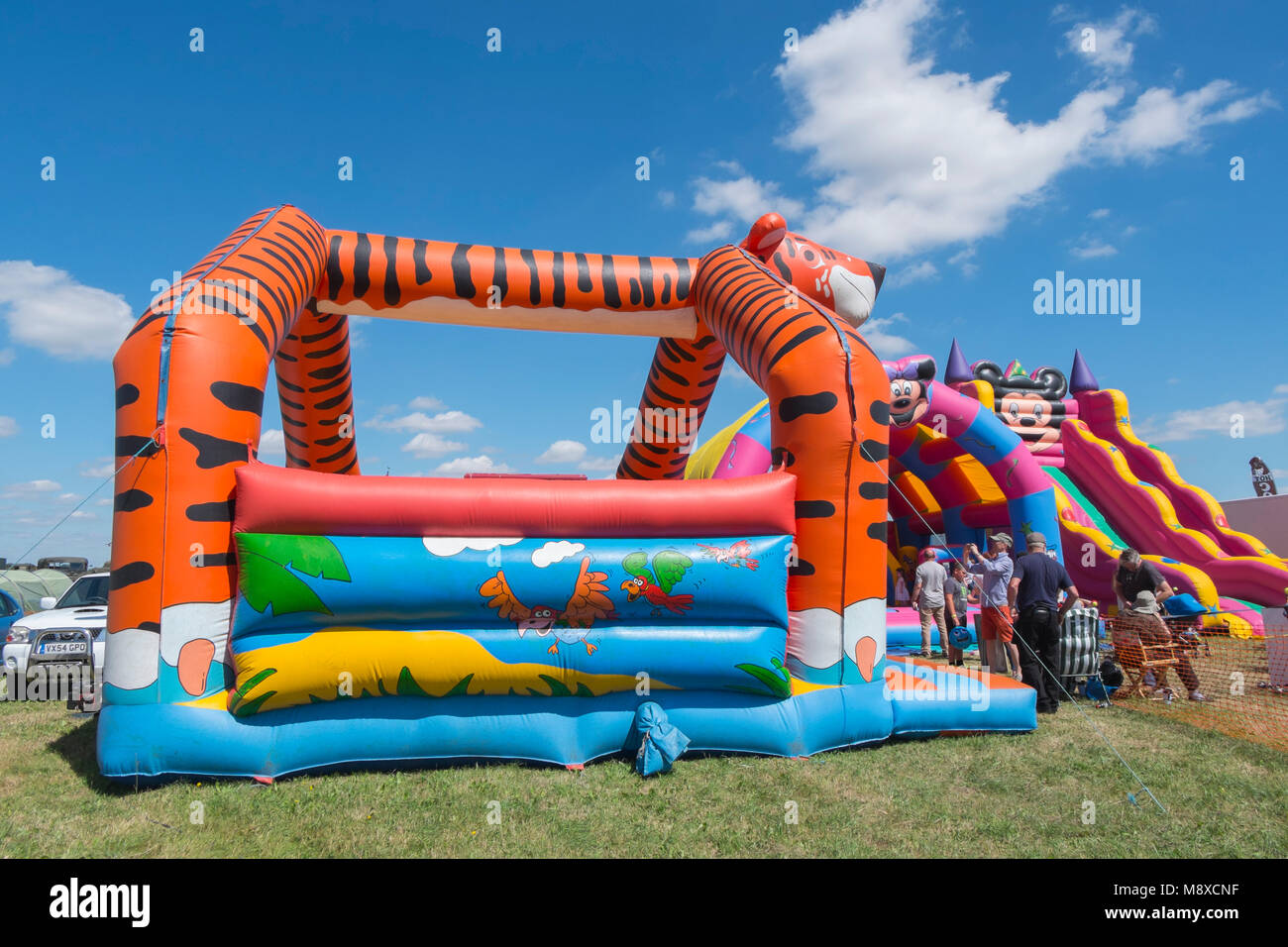 A tiger themed bouncy castle and inflatable slide at the ...
