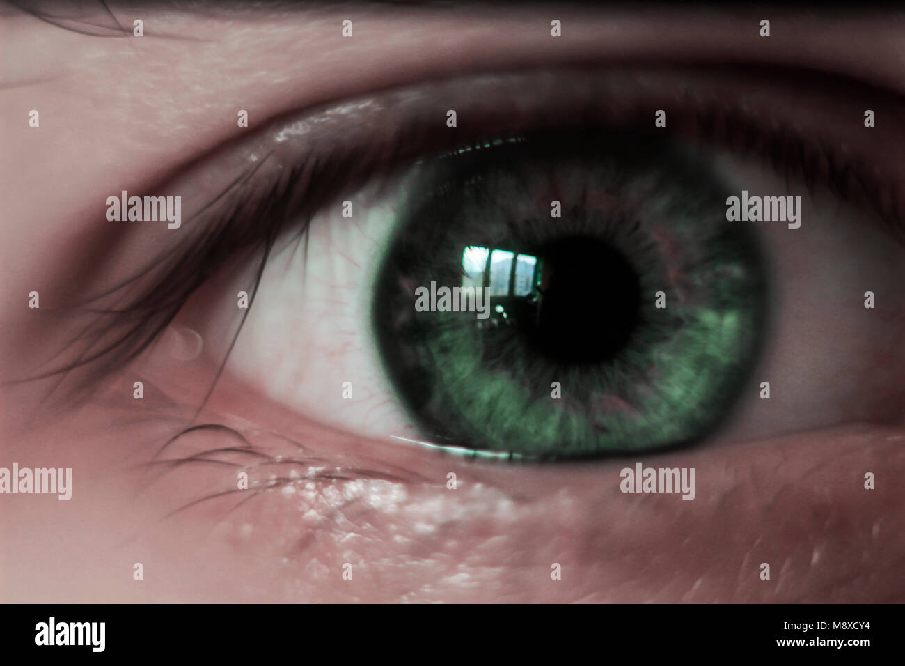 closeup of one eye of a young man Stock Photo - Alamy