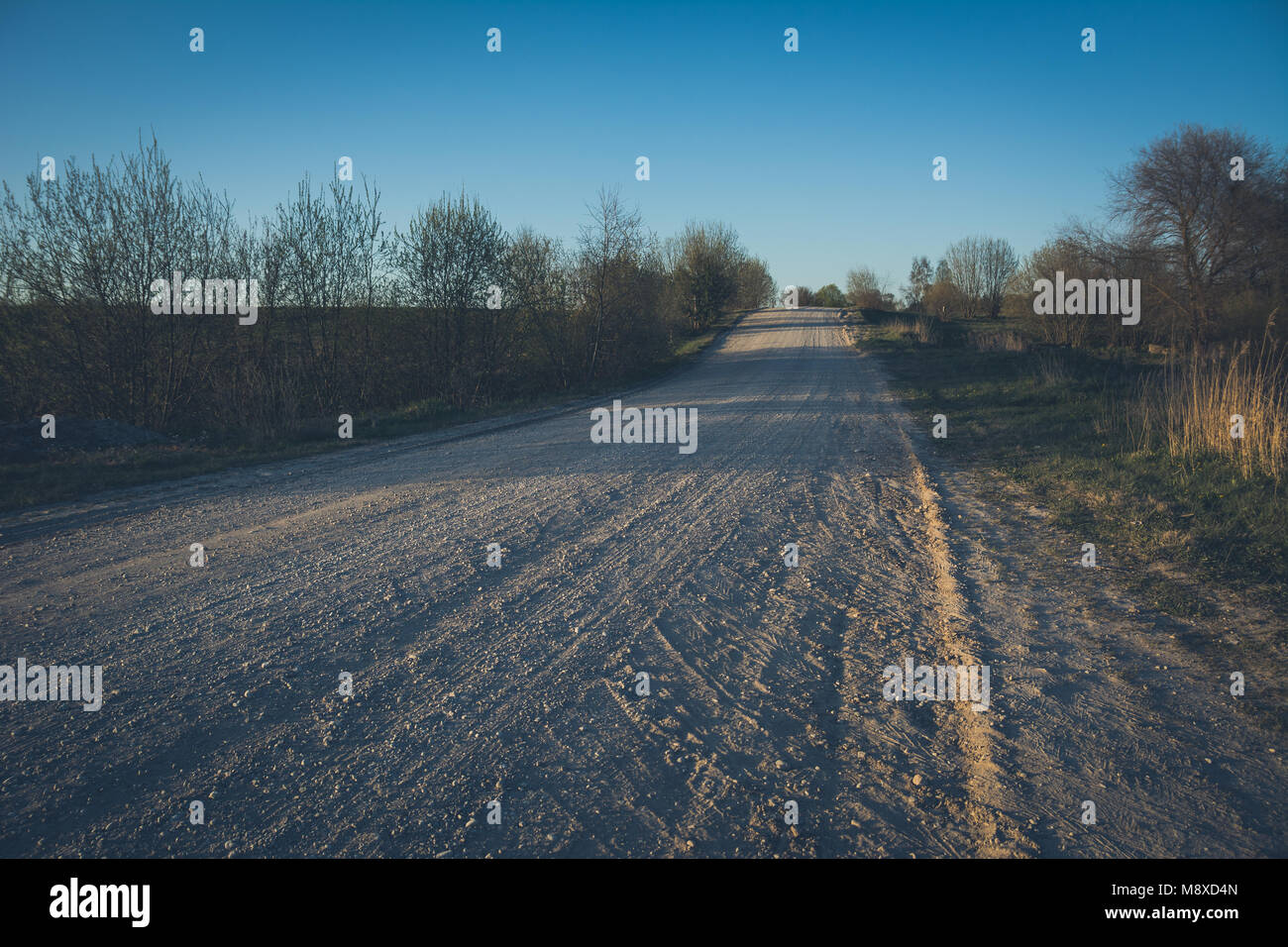 Empty gravel road in countryside in perspective with trees in ...