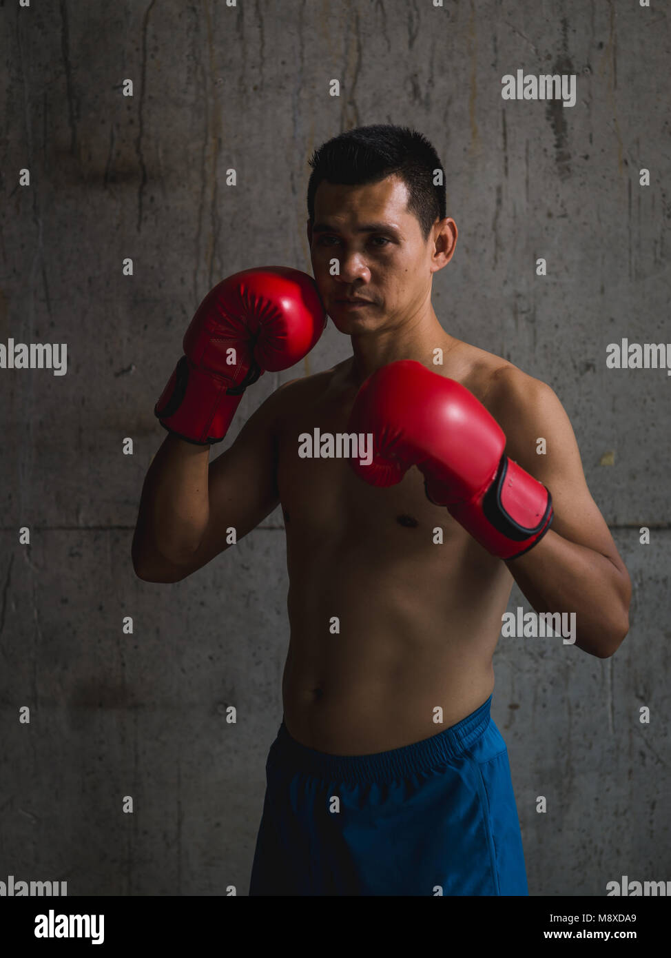 Asian boxer hi-res stock photography and images - Alamy