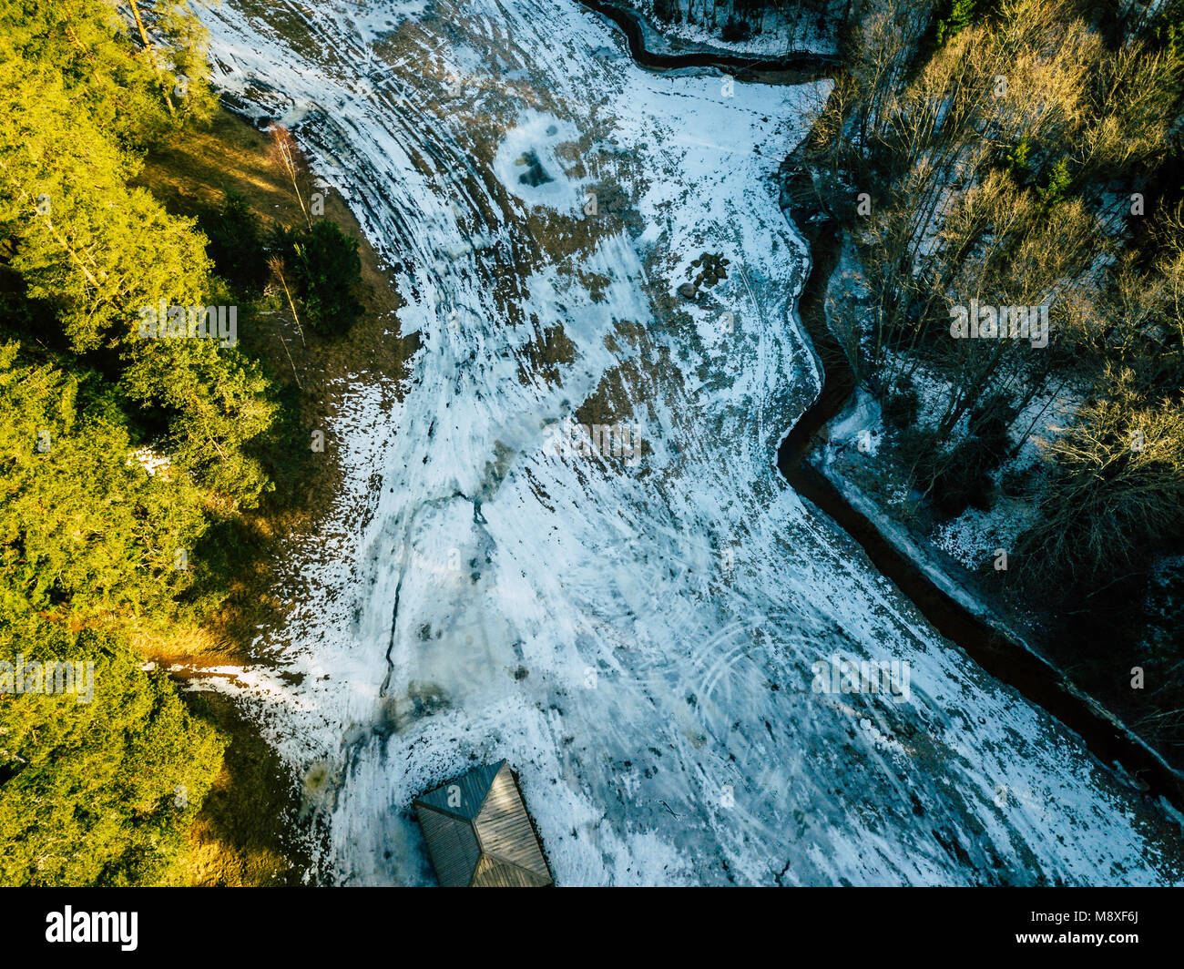 Aerial Photography of a Bright Forest in Sunny Winter Day from Top ...