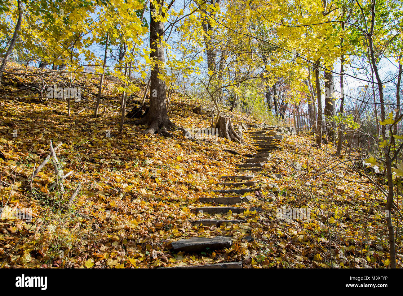 Yellow steps hi-res stock photography and images - Alamy