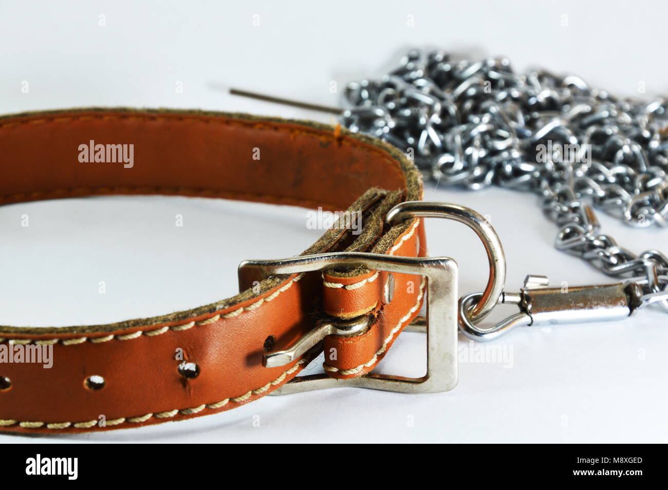 dog brown leather collar and lead chain Stock Photo - Alamy