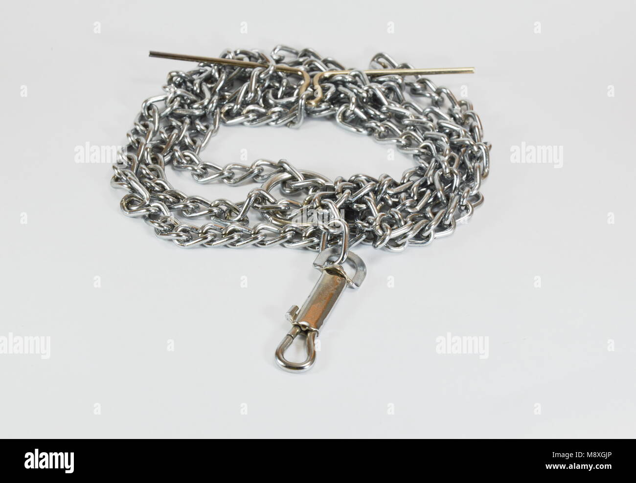 dog lead chain on white background Stock Photo - Alamy