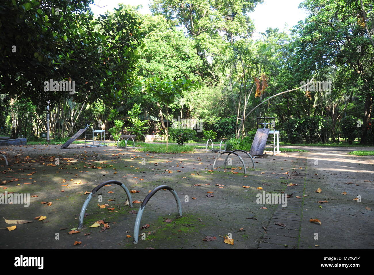 ramna park in Dhaka Stock Photo - Alamy