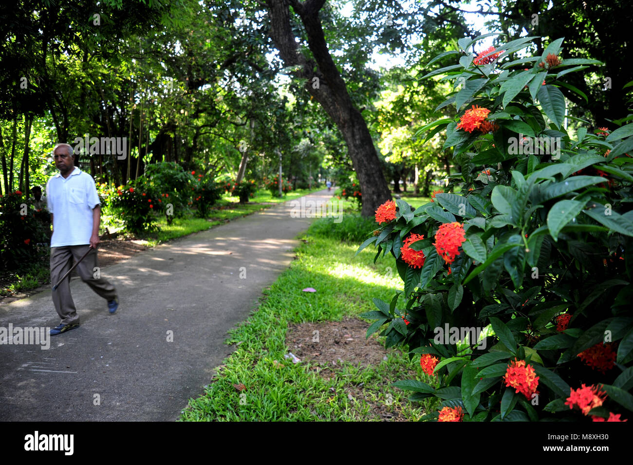 ramna park in Dhaka Stock Photo - Alamy