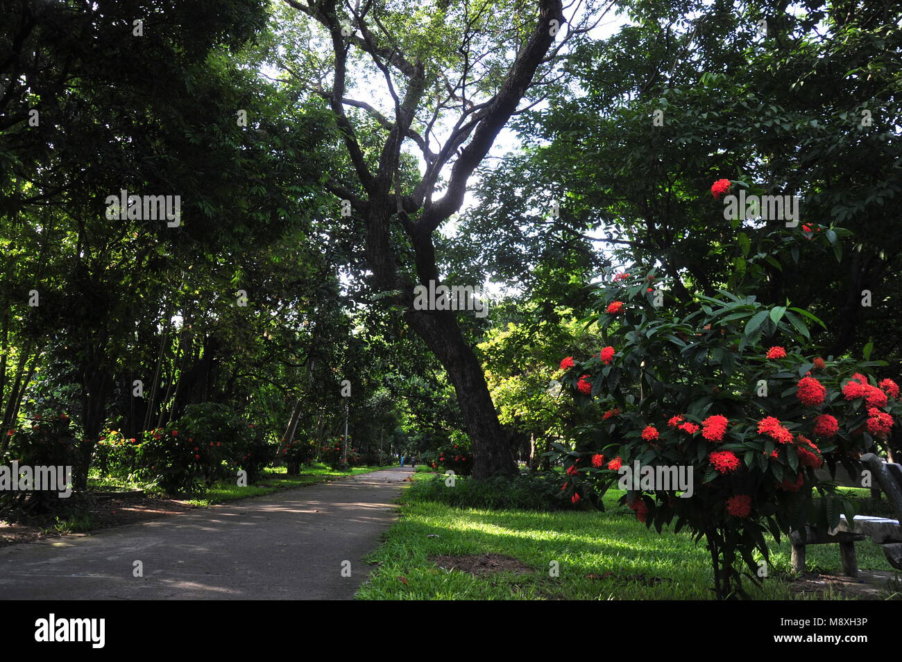 ramna park in Dhaka Stock Photo - Alamy