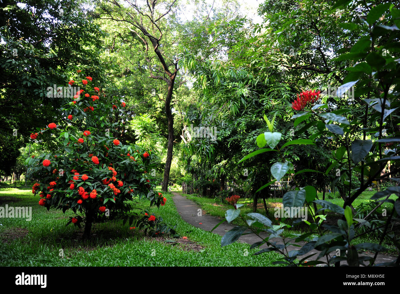ramna park in Dhaka Stock Photo - Alamy