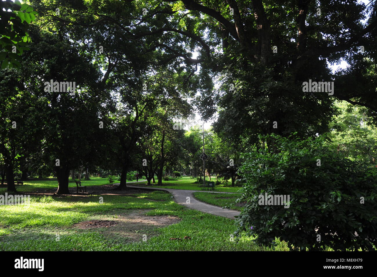ramna park in Dhaka Stock Photo - Alamy
