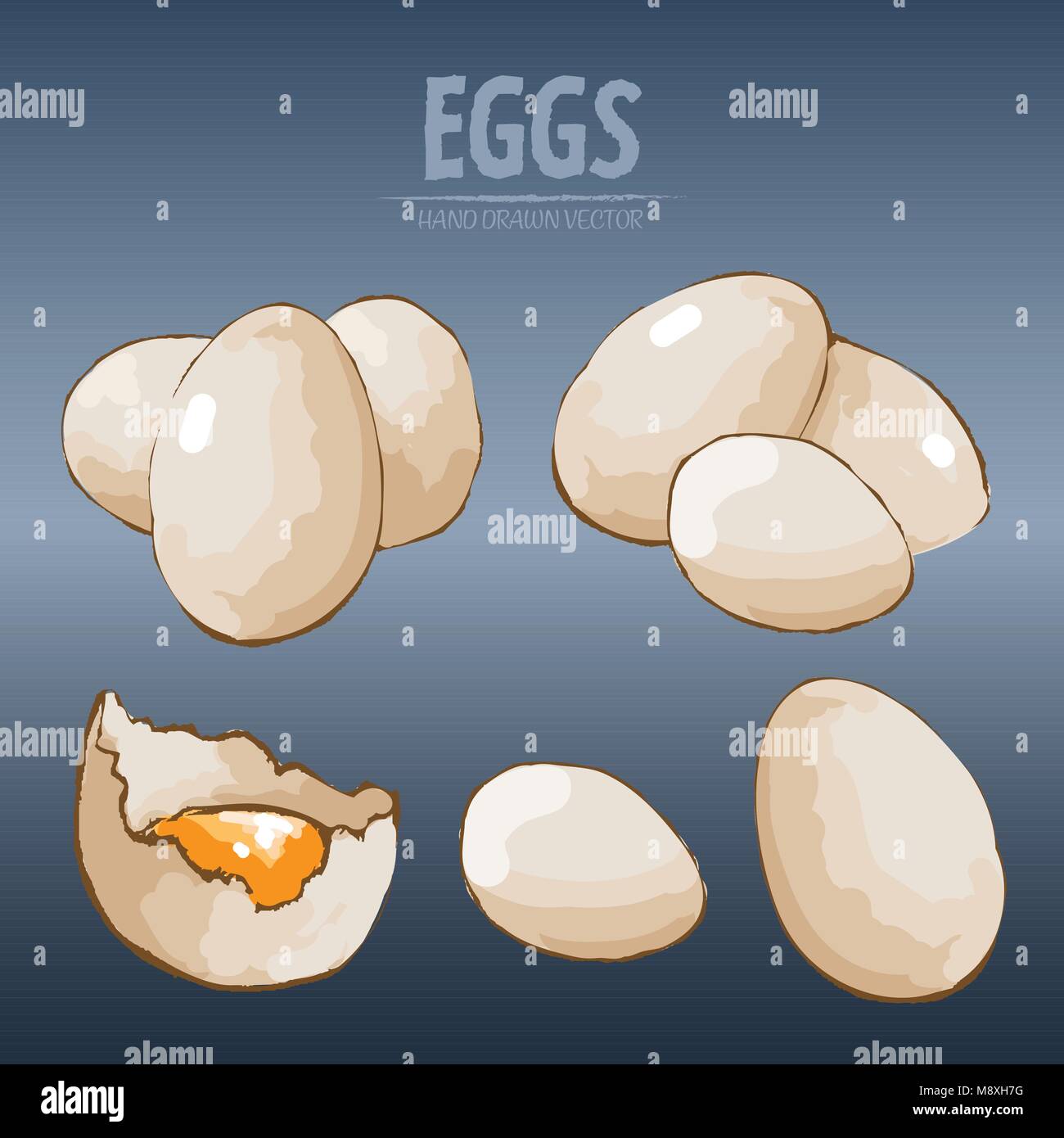 Digital vector detailed line art splitted, scratch and whole eggs hand ...