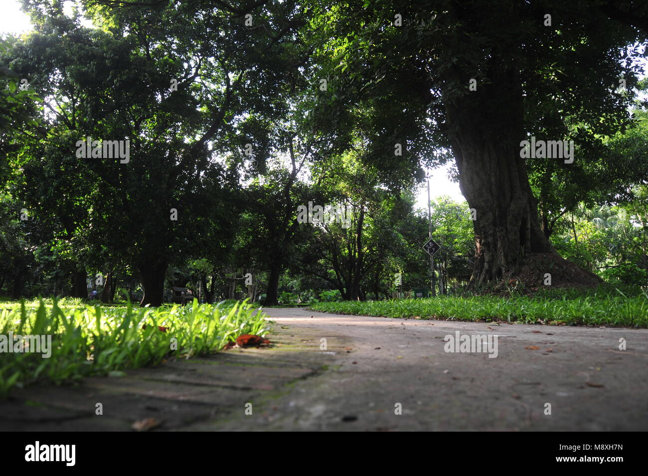 ramna park in Dhaka Stock Photo - Alamy
