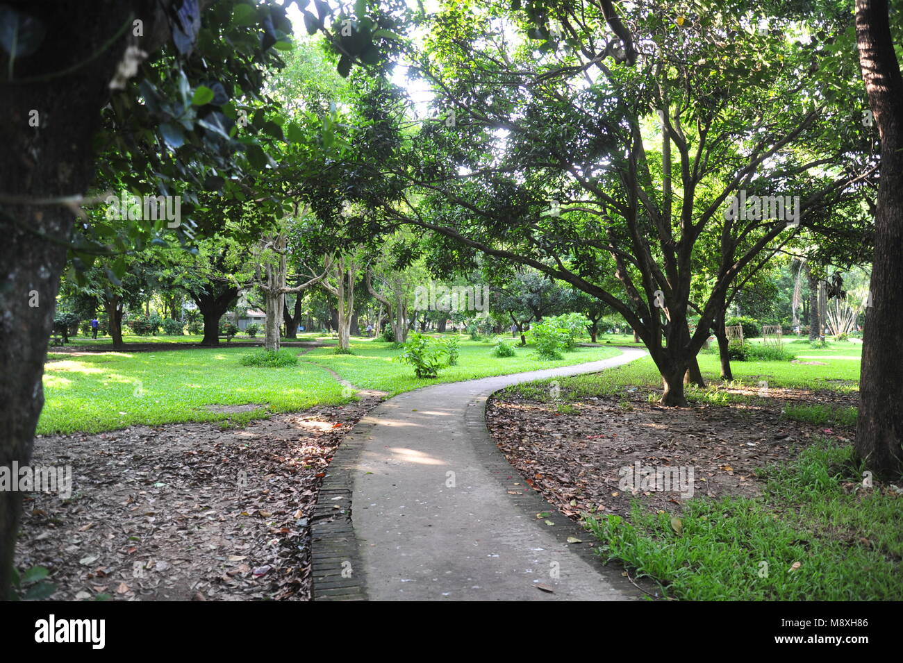 ramna park in Dhaka Stock Photo - Alamy