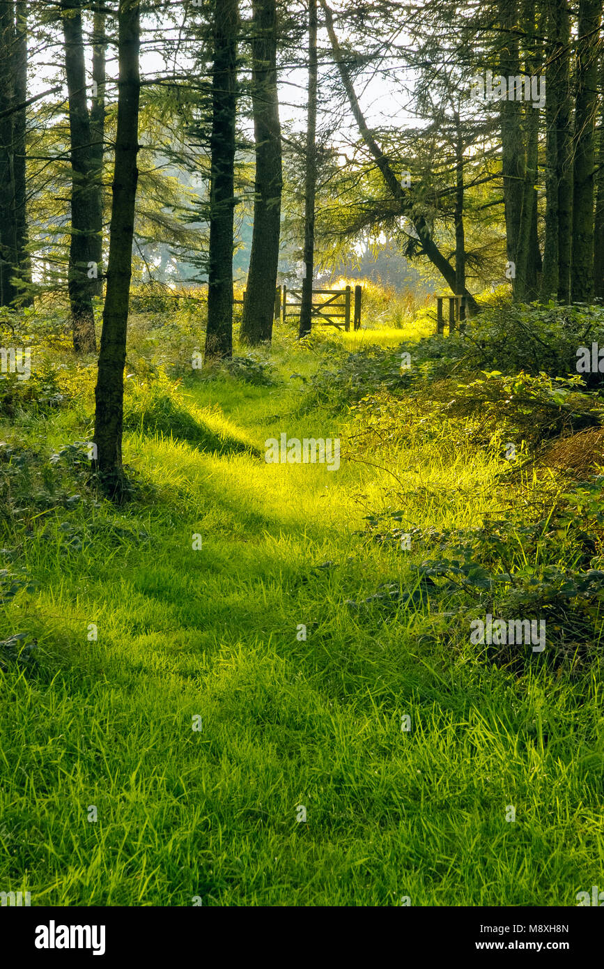 Bleasdale hi-res stock photography and images - Alamy