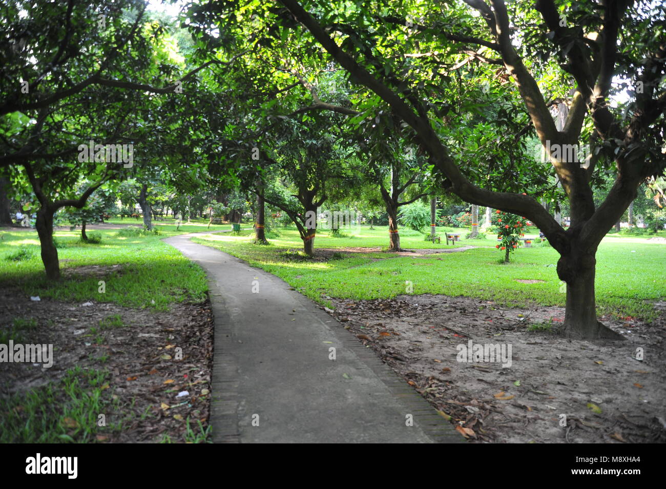 ramna park in Dhaka Stock Photo - Alamy