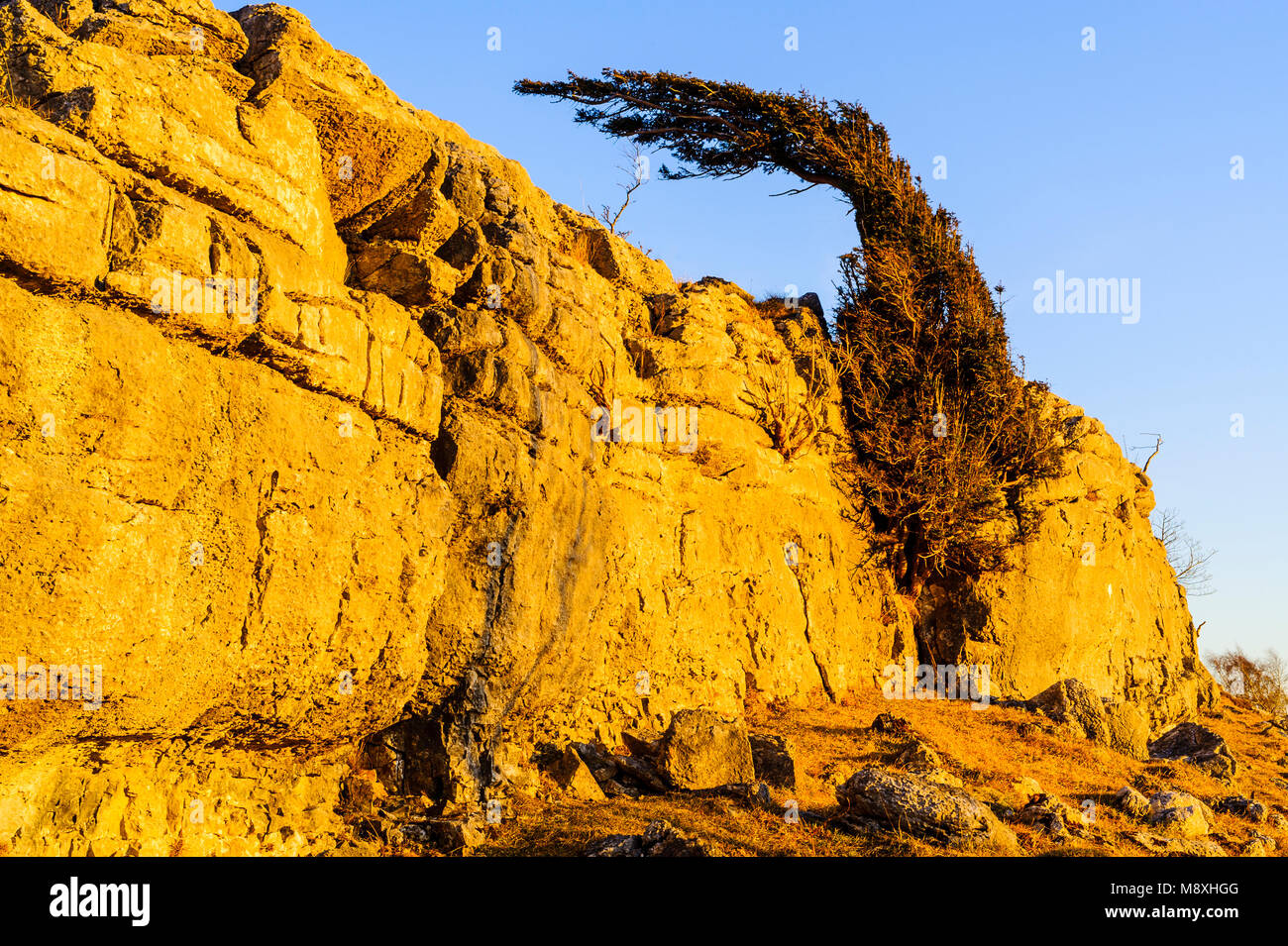 Whitbarrow scar hi-res stock photography and images - Alamy