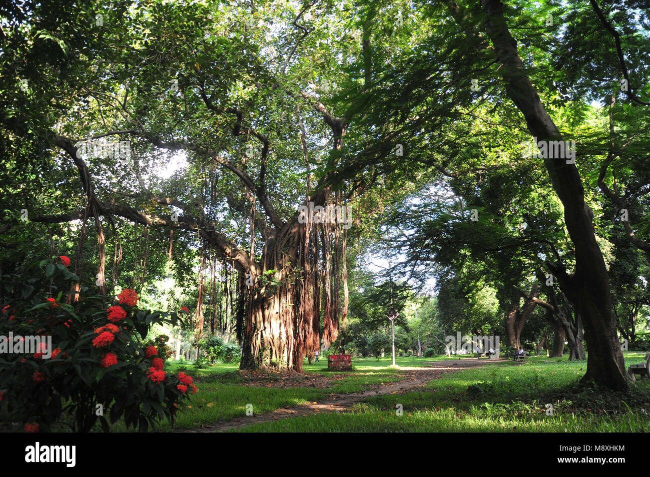 ramna park in Dhaka Stock Photo - Alamy