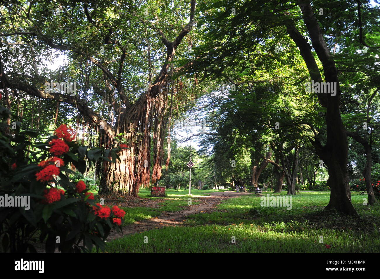 ramna park in Dhaka Stock Photo - Alamy