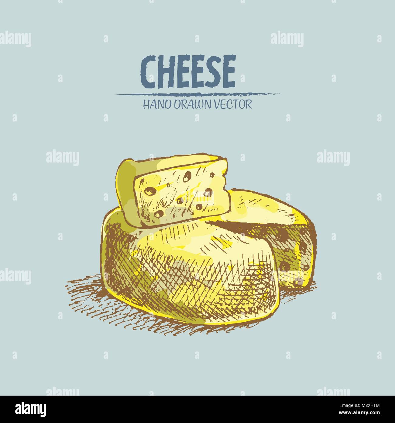 Digital vector detailed line art sliced cheese with slices hand drawn ...