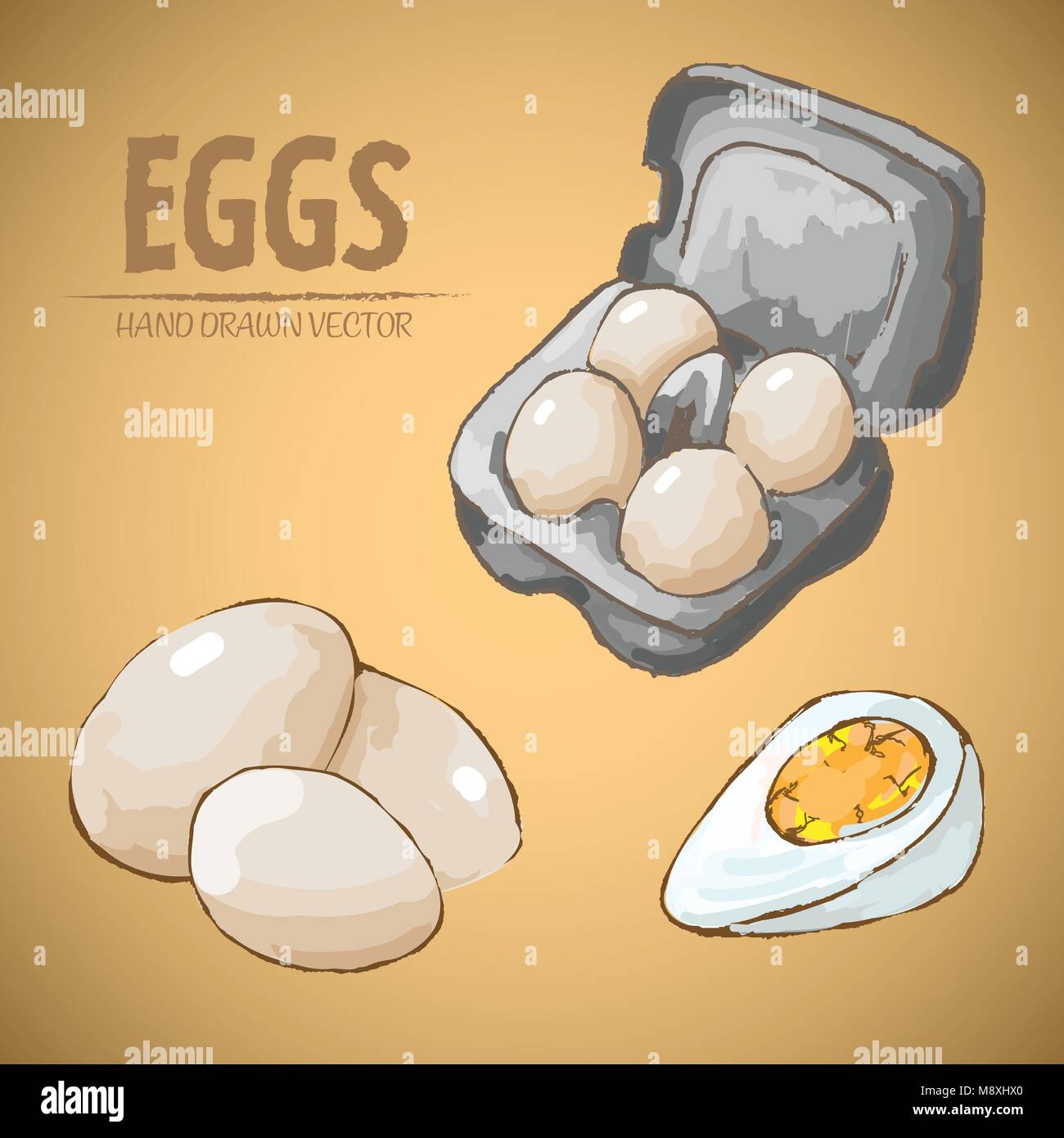 Digital vector detailed line art splitted and packaged eggs hand drawn ...