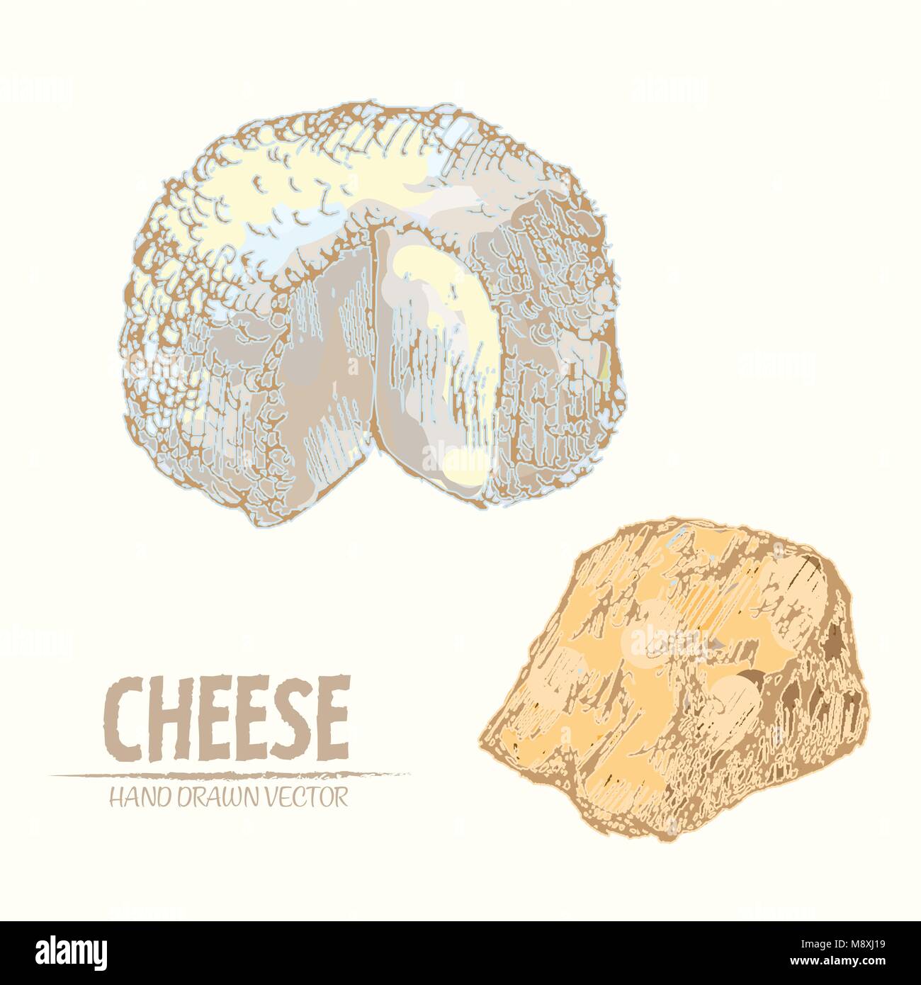 Digital vector detailed line art round sliced holed cheese hand drawn ...