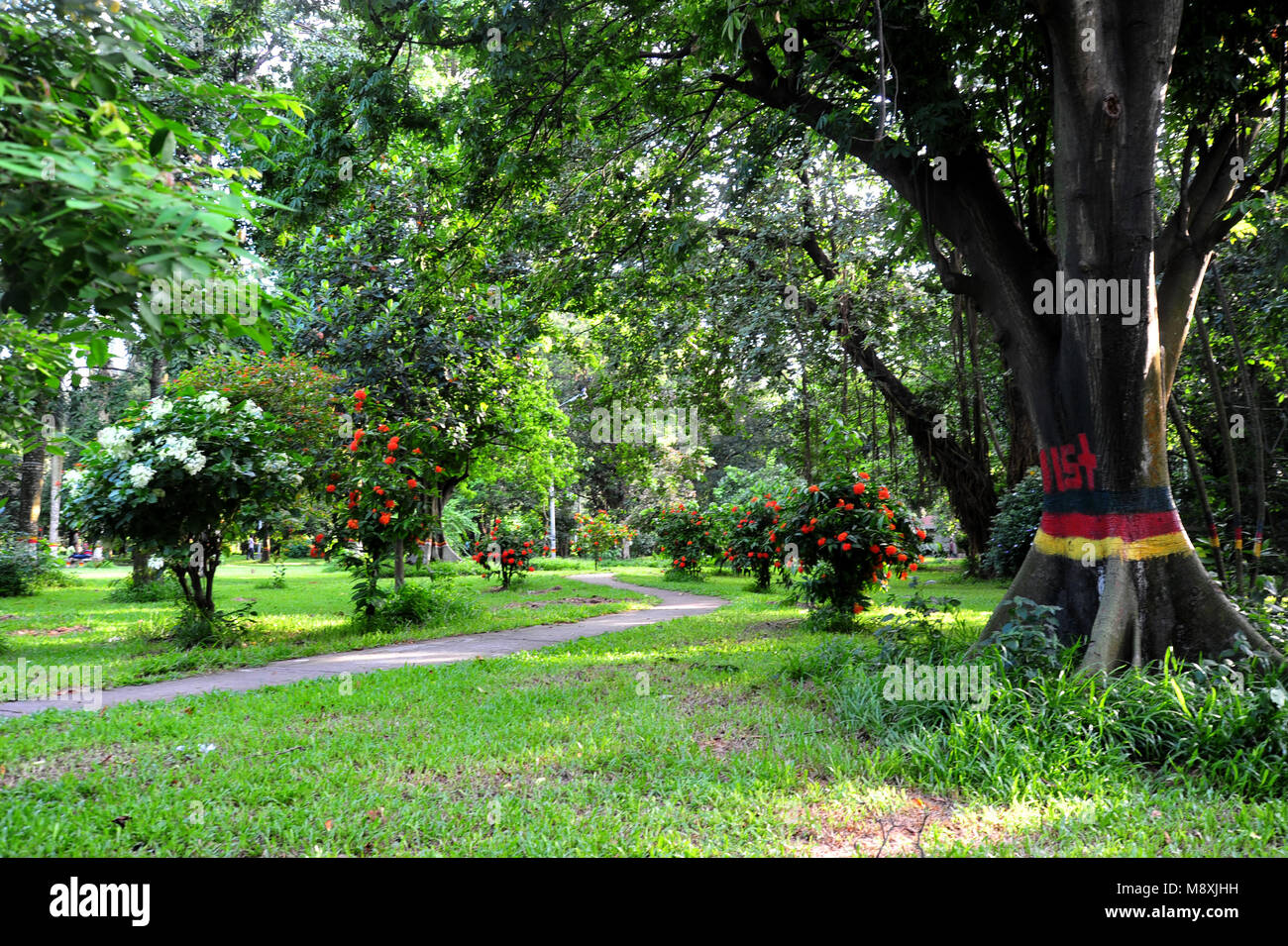 ramna park in Dhaka Stock Photo - Alamy