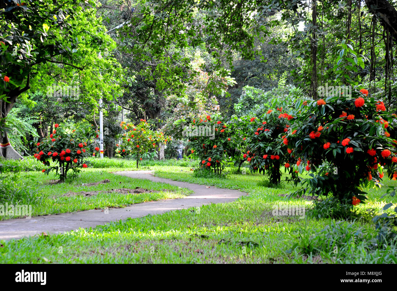ramna park in Dhaka Stock Photo - Alamy