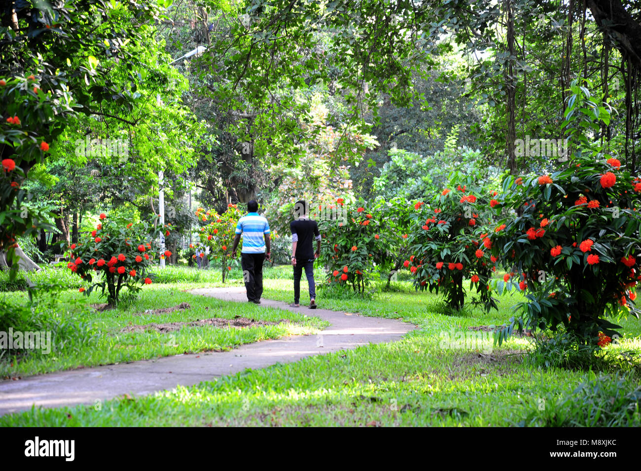 ramna park in Dhaka Stock Photo - Alamy