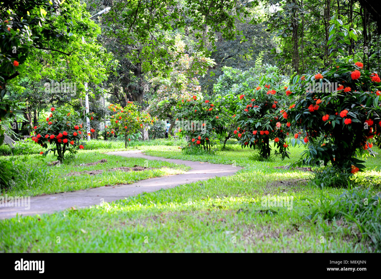 ramna park in Dhaka Stock Photo - Alamy