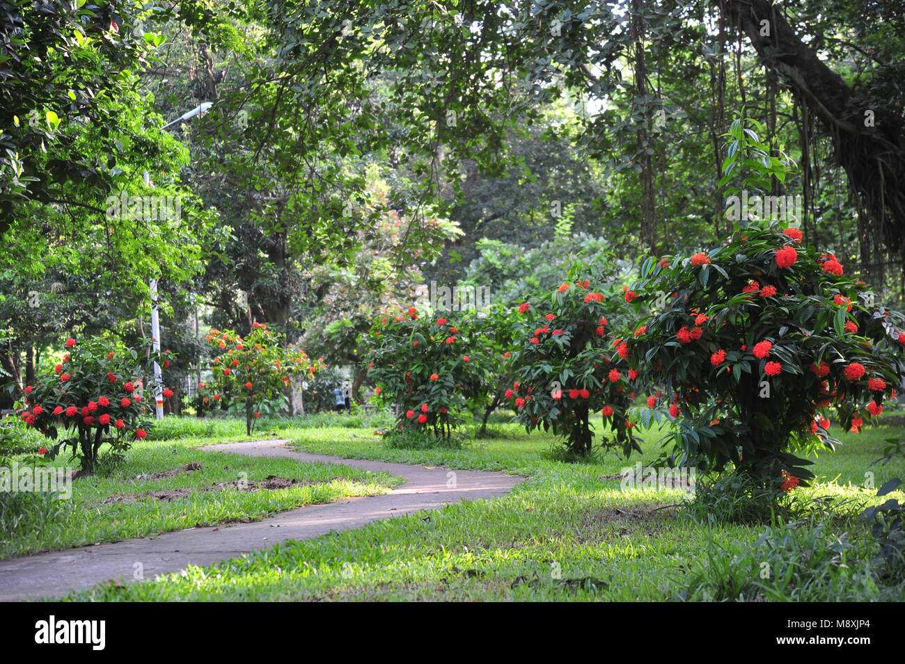 ramna park in Dhaka Stock Photo - Alamy