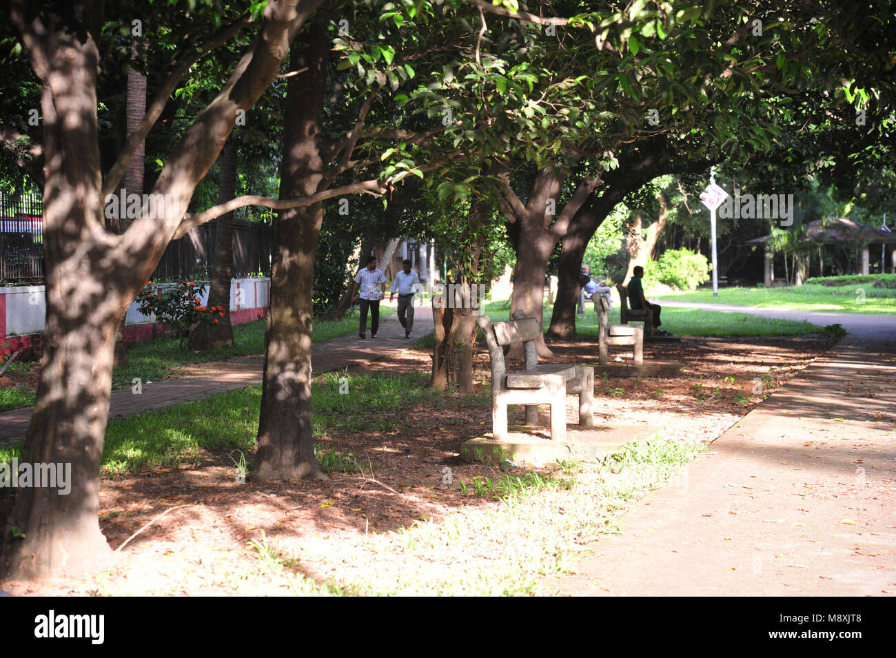 ramna park in Dhaka Stock Photo - Alamy