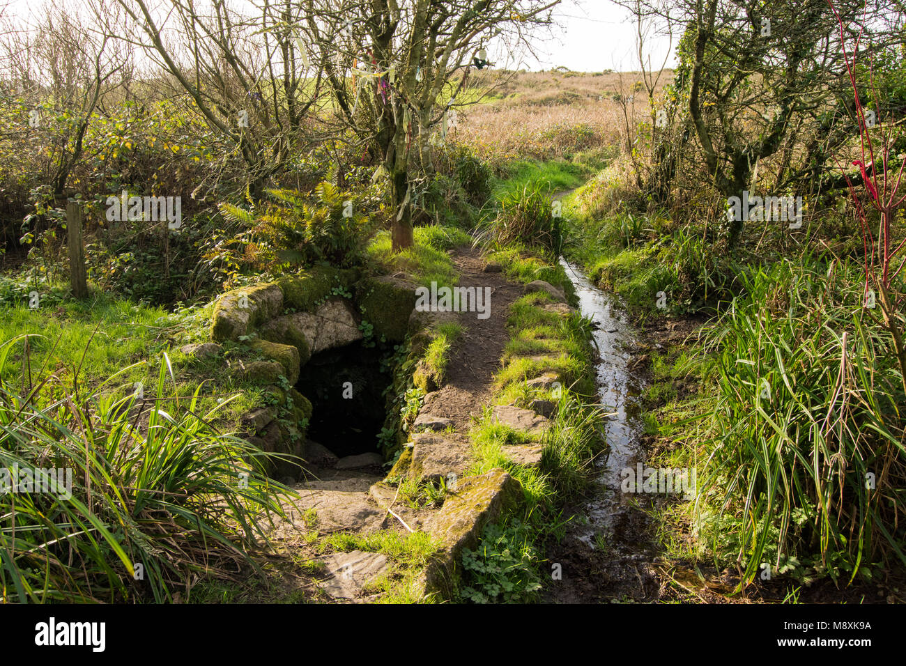 Chapel Euny Holy Well, Sancreed, West Cornwall Stock Photo - Alamy
