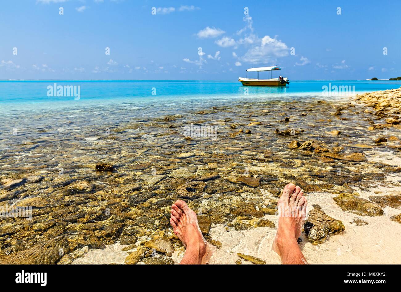 Shellback hi-res stock photography and images - Alamy