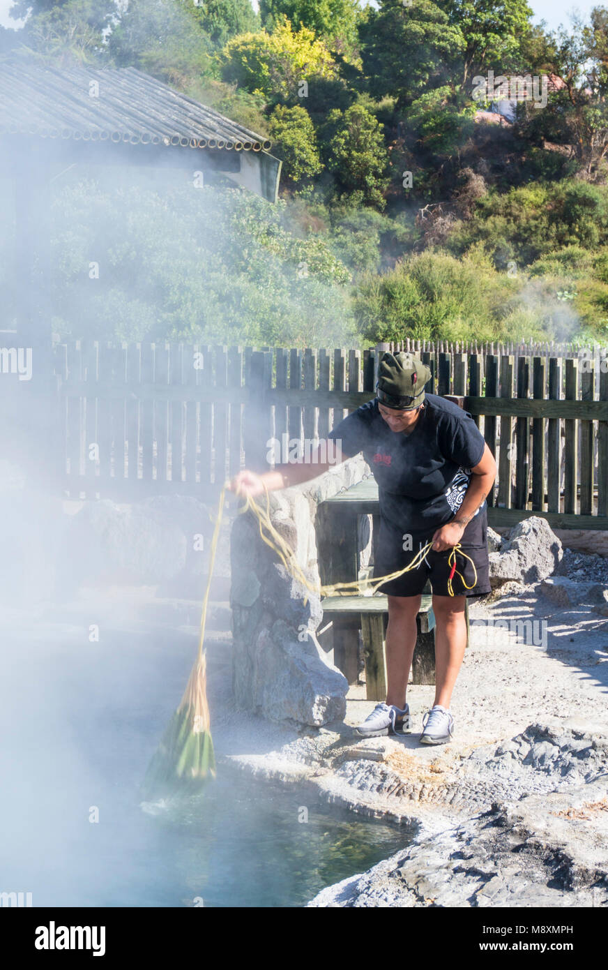 Maori cooking corn in hot spring hi-res stock photography and images ...