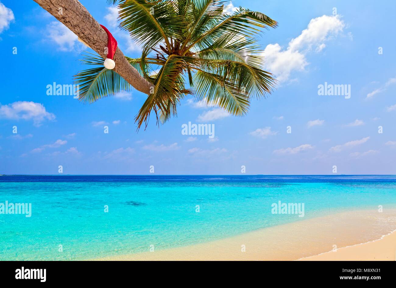 Santa hat is on a palm tree, Maldives, The Indian Ocean Stock Photo - Alamy