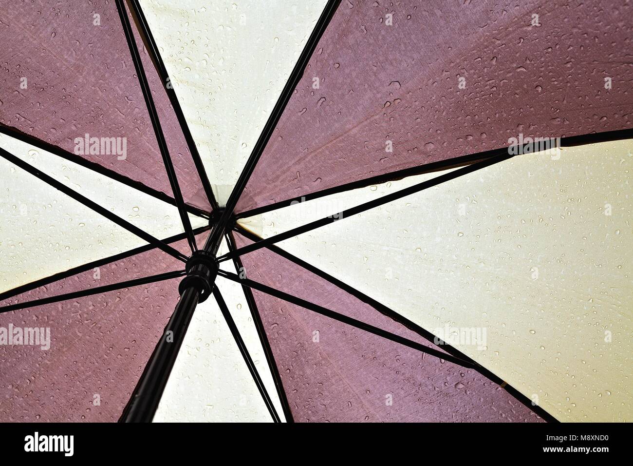 Wet umbrella umbrella on a rainy day Stock Photo - Alamy