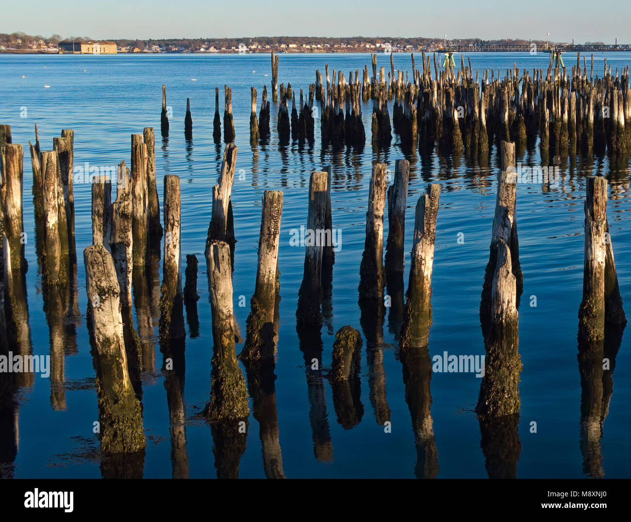 Portland Harbor Pilings Stock Photo - Alamy