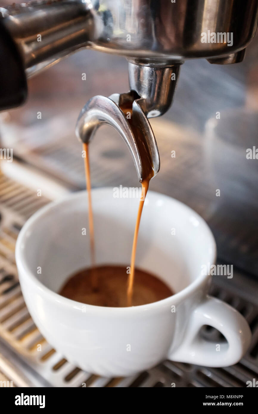 Fresh espresso dripping from portafilter of coffee machine into white ...