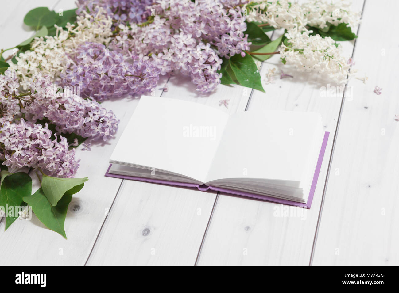 Mock up book hi-res stock photography and images - Alamy