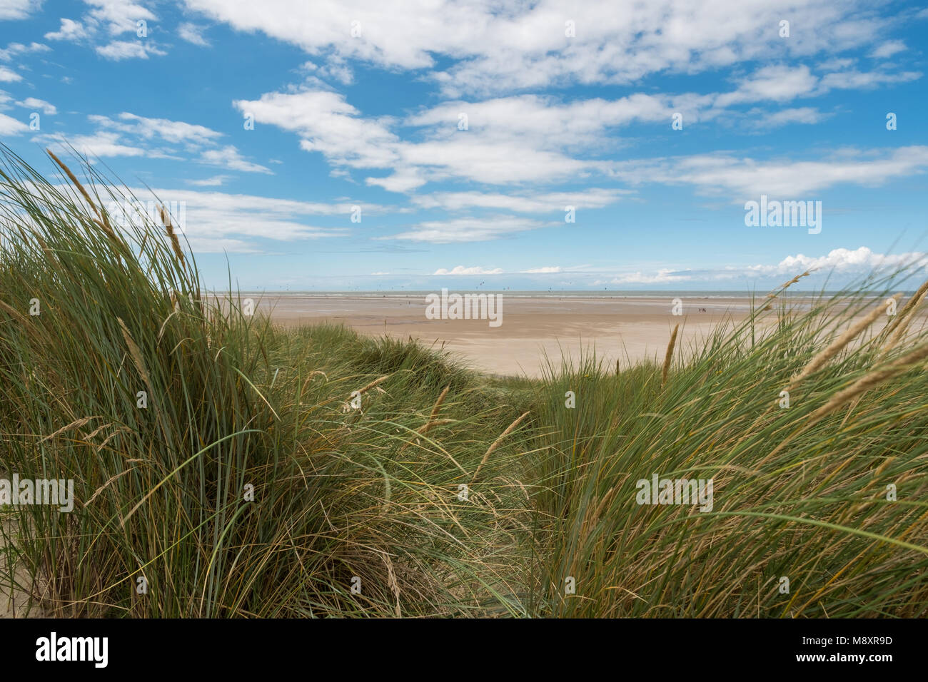 A view of the beach in Zeebrugge, Belgium, from the dunes, with ...