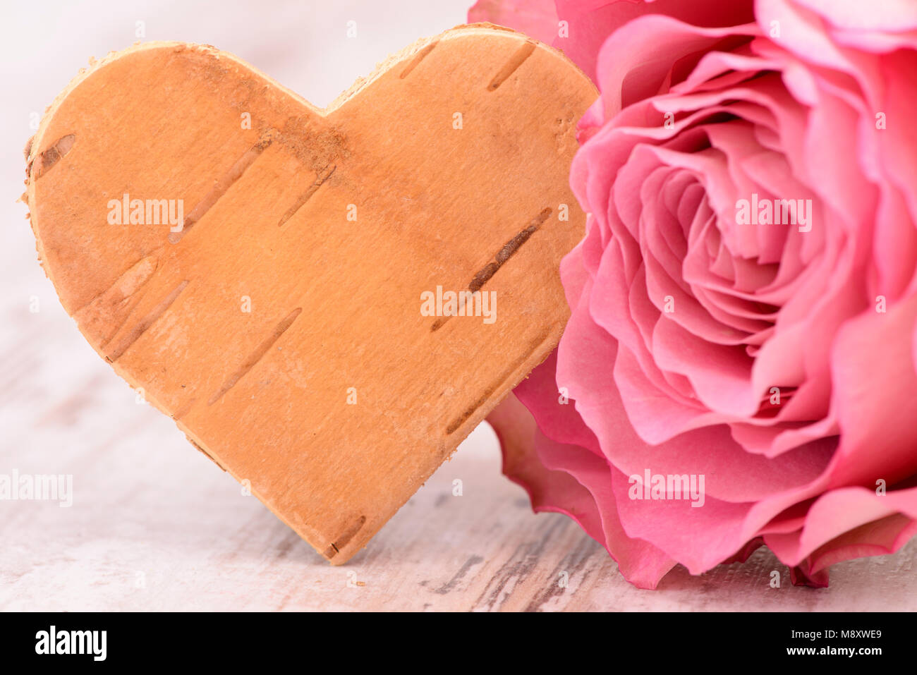 rose flower with heart as symbol for love Stock Photo - Alamy