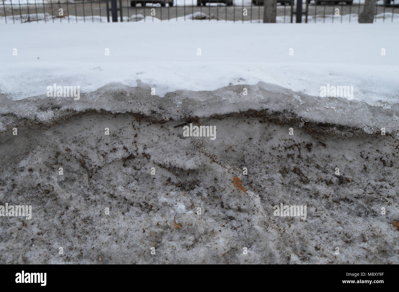 Dirty loose spring snow, white snow melts, spring background Stock ...