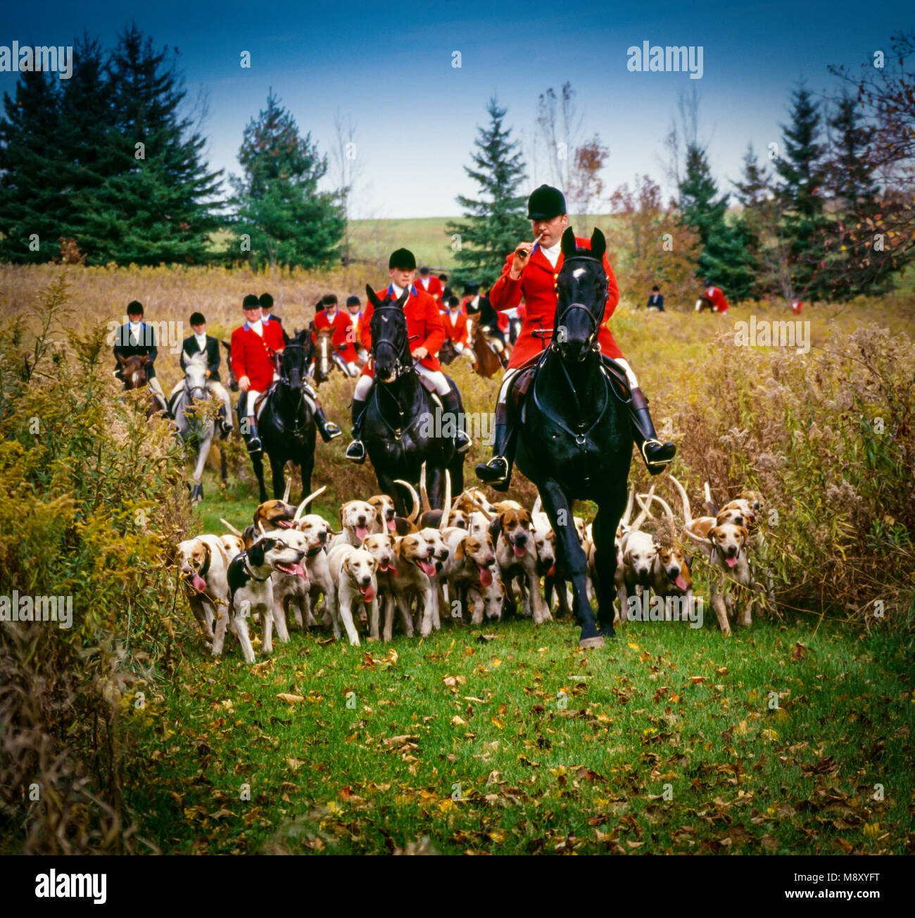 Fox Hunt Stock Photos & Fox Hunt Stock Images - Alamy