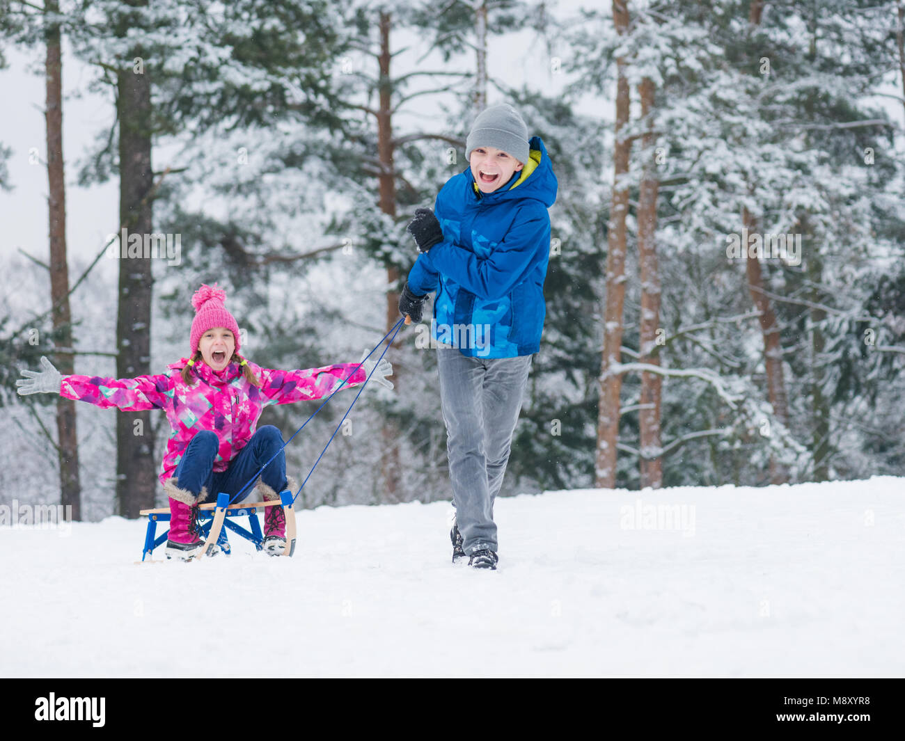 Children riding sled in winter Stock Photo - Alamy